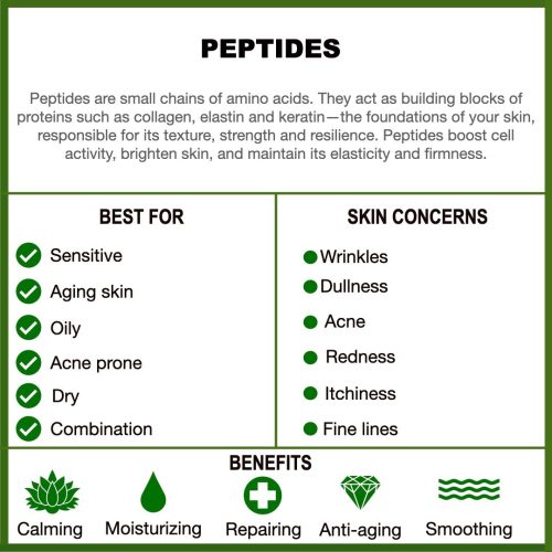 Peptides: Understanding The Different Types And How They Work